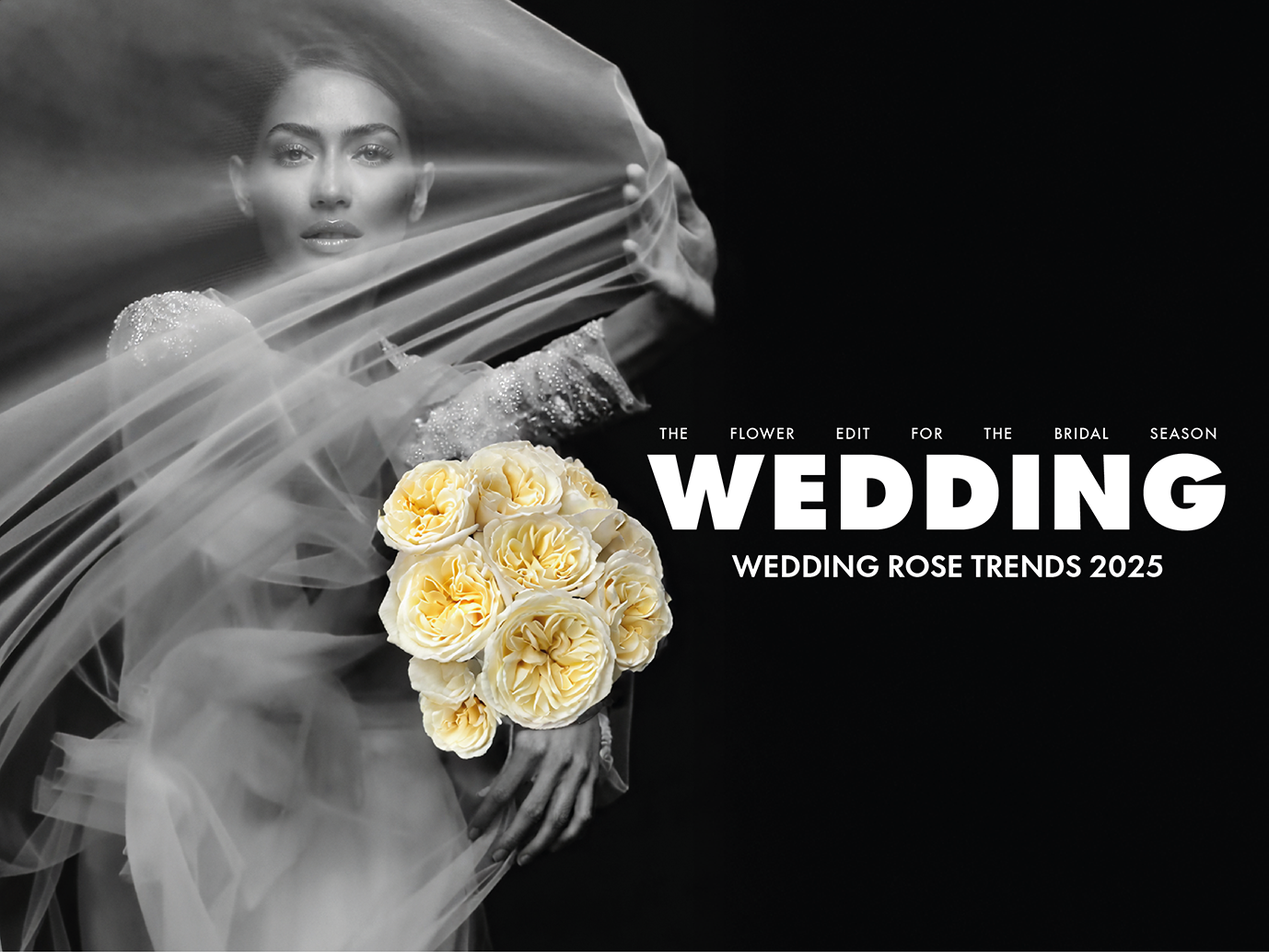 Wedding rose trends 2025 | Royal Flowers