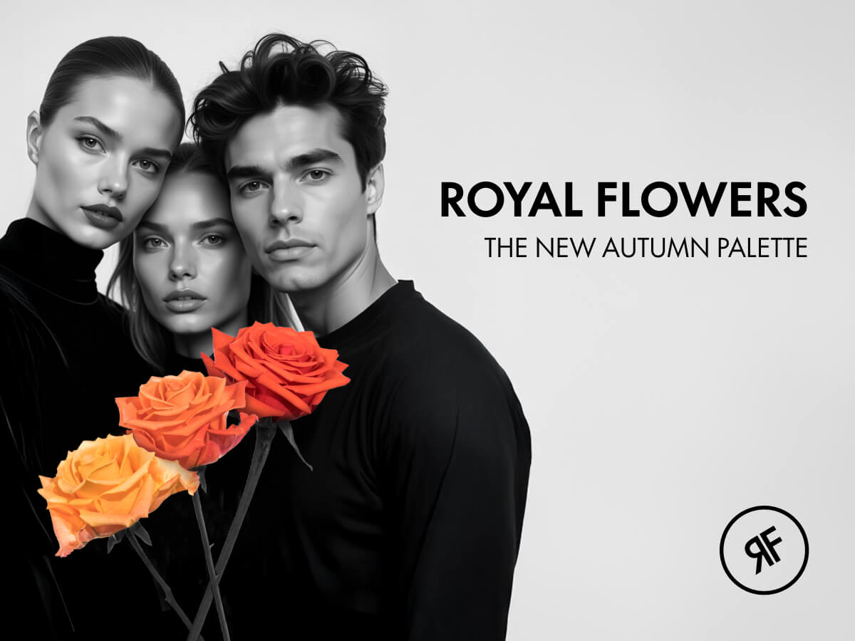The New Autumn Palette | Roses Redefining Fall Colors